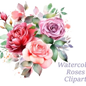 Watercolor Roses Clipart Bundle: Botanical Illustration (digital ...