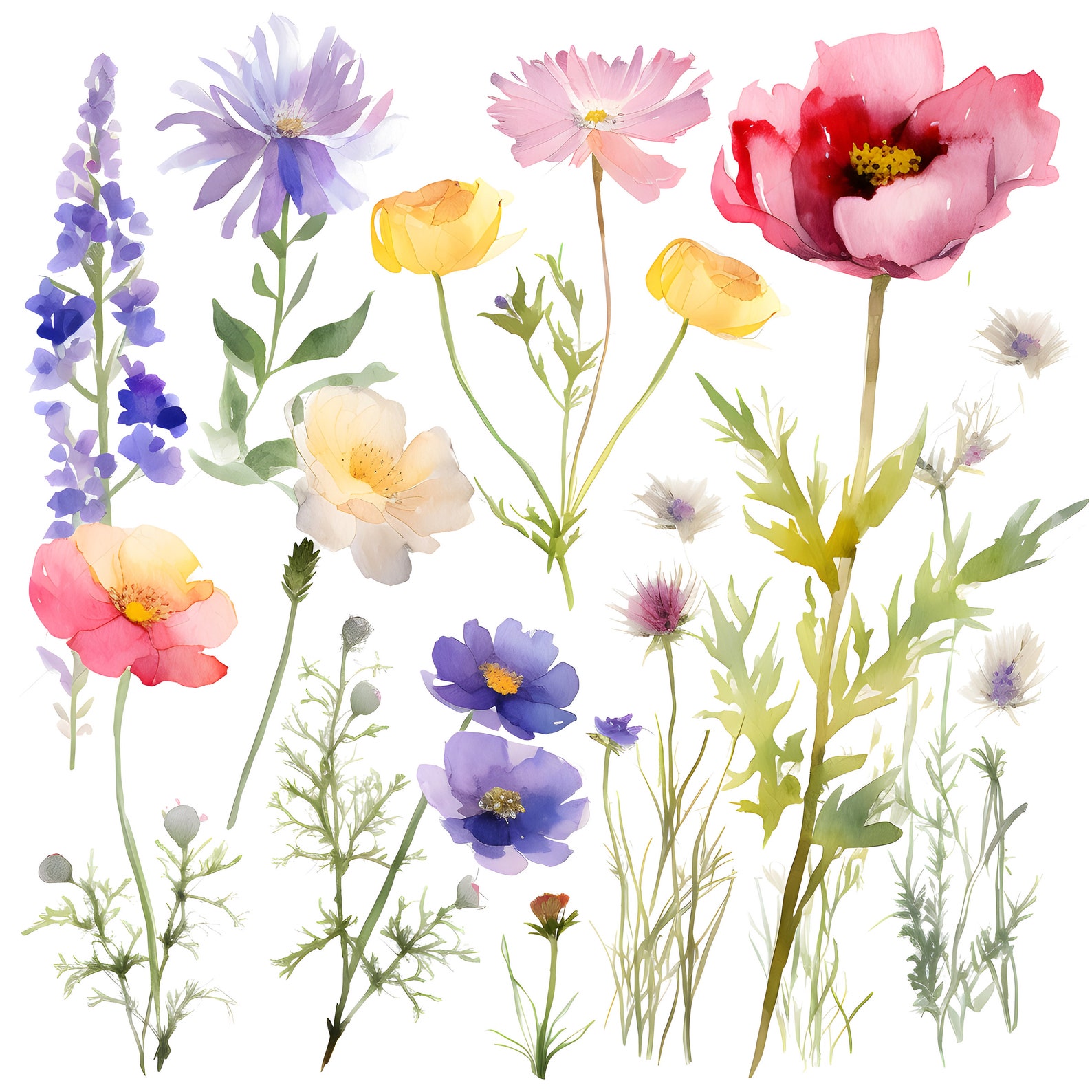 Watercolor Wildflower Clipart Bundle: Botanical Illustration (digital ...