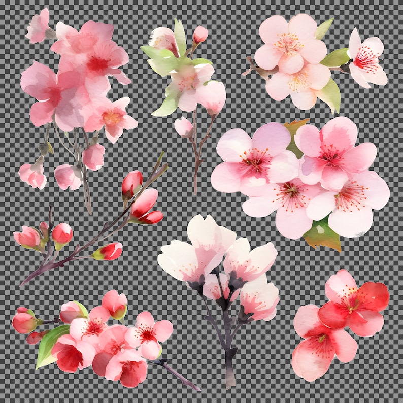 Watercolor Cherry Blossom Clipart Bundle: Botanical Illustration ...