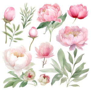 Peonies Watercolor Clipart, Peonies Bundle Clipart, Botanical Clipart ...
