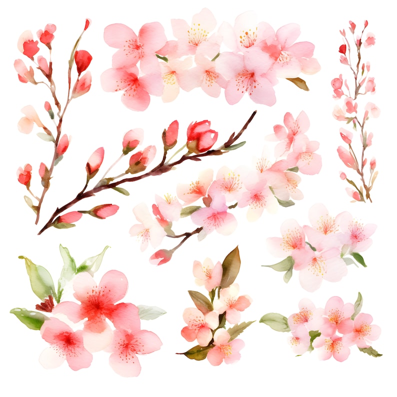 Watercolor Cherry Blossom Clipart Bundle: Botanical Illustration ...