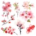 Watercolor Cherry Blossom Clipart Bundle: Botanical Illustration ...