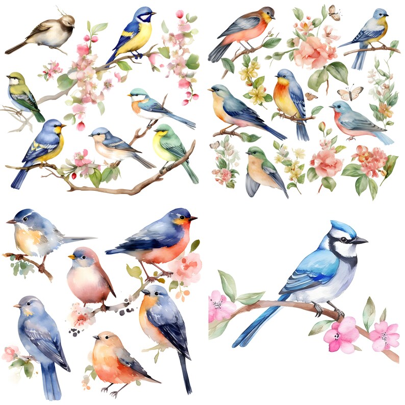 Watercolor Birds Clipart Bird Bundle Clipart Invitation - Etsy
