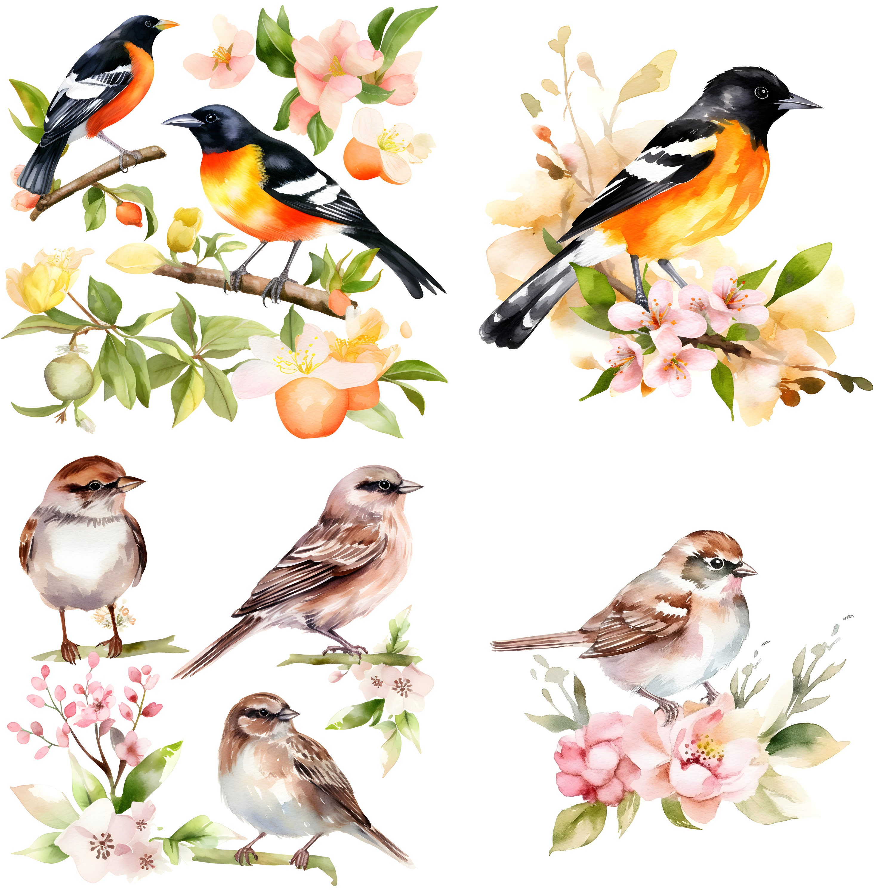 Watercolor Birds Clipart Bird Bundle Clipart Invitation - Etsy