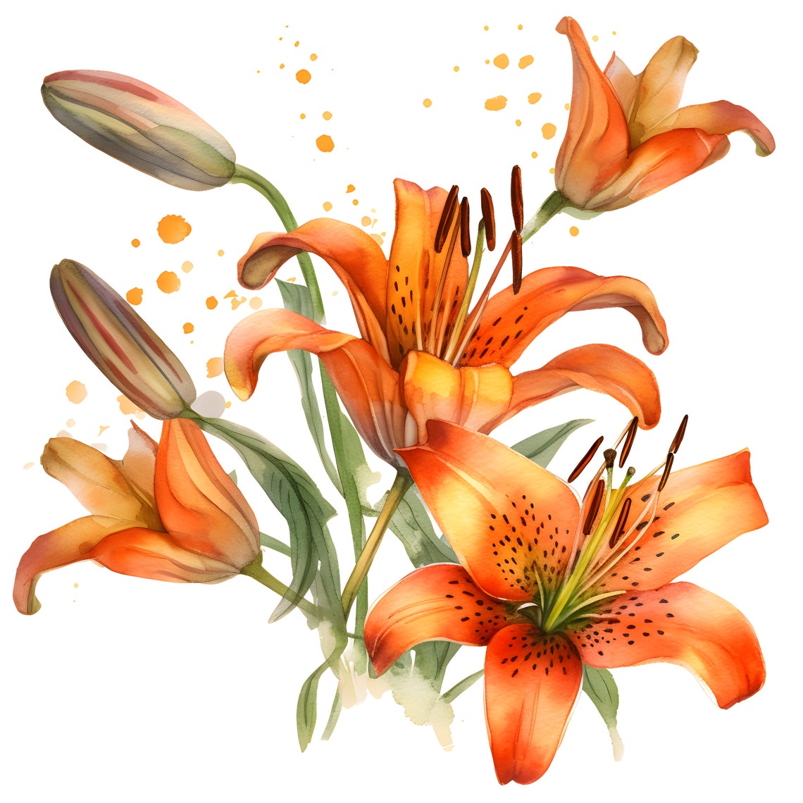 Lilies Watercolor Clipart Lilies Bundle Clipart Botanical - Etsy