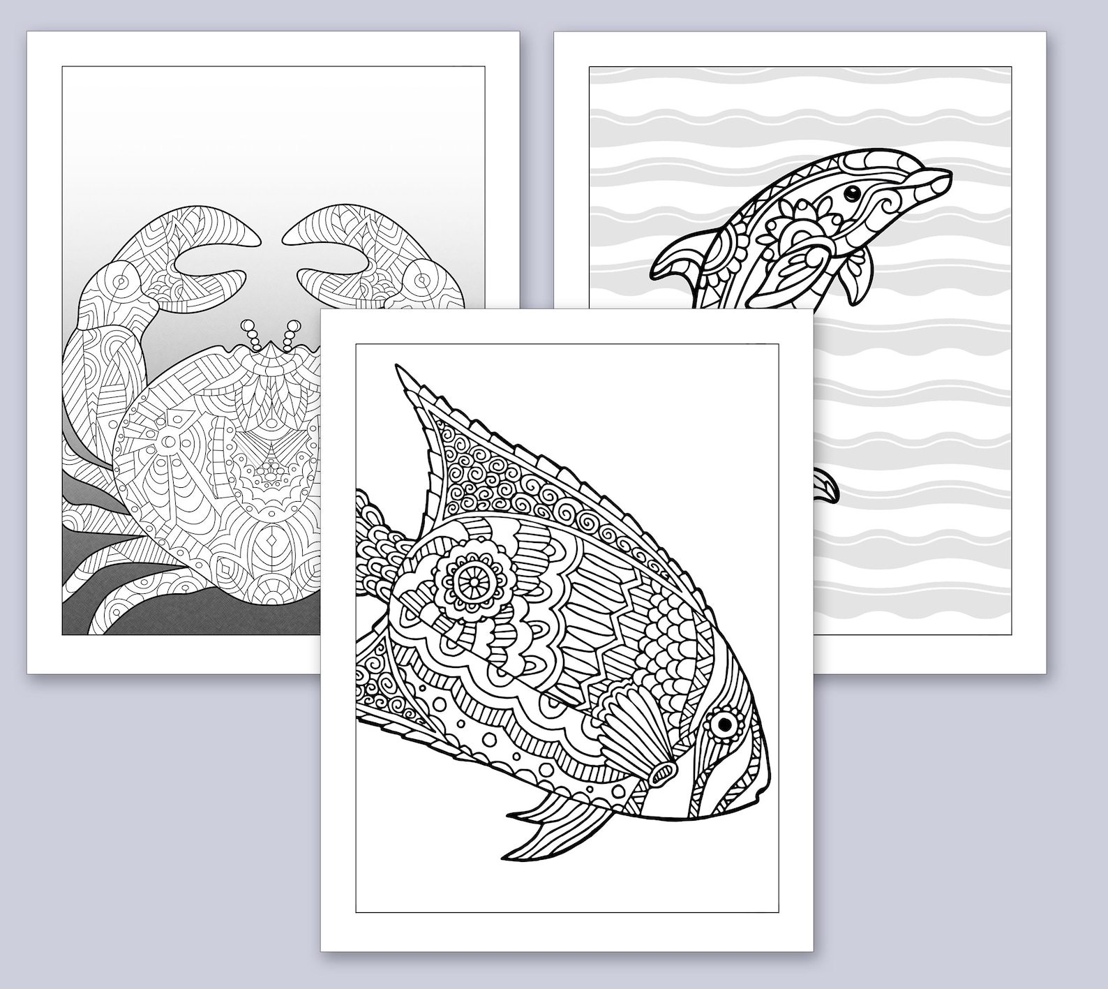 Sea Life Coloring Book Adult Anxiety Relief Ocean Animal Relaxation ...