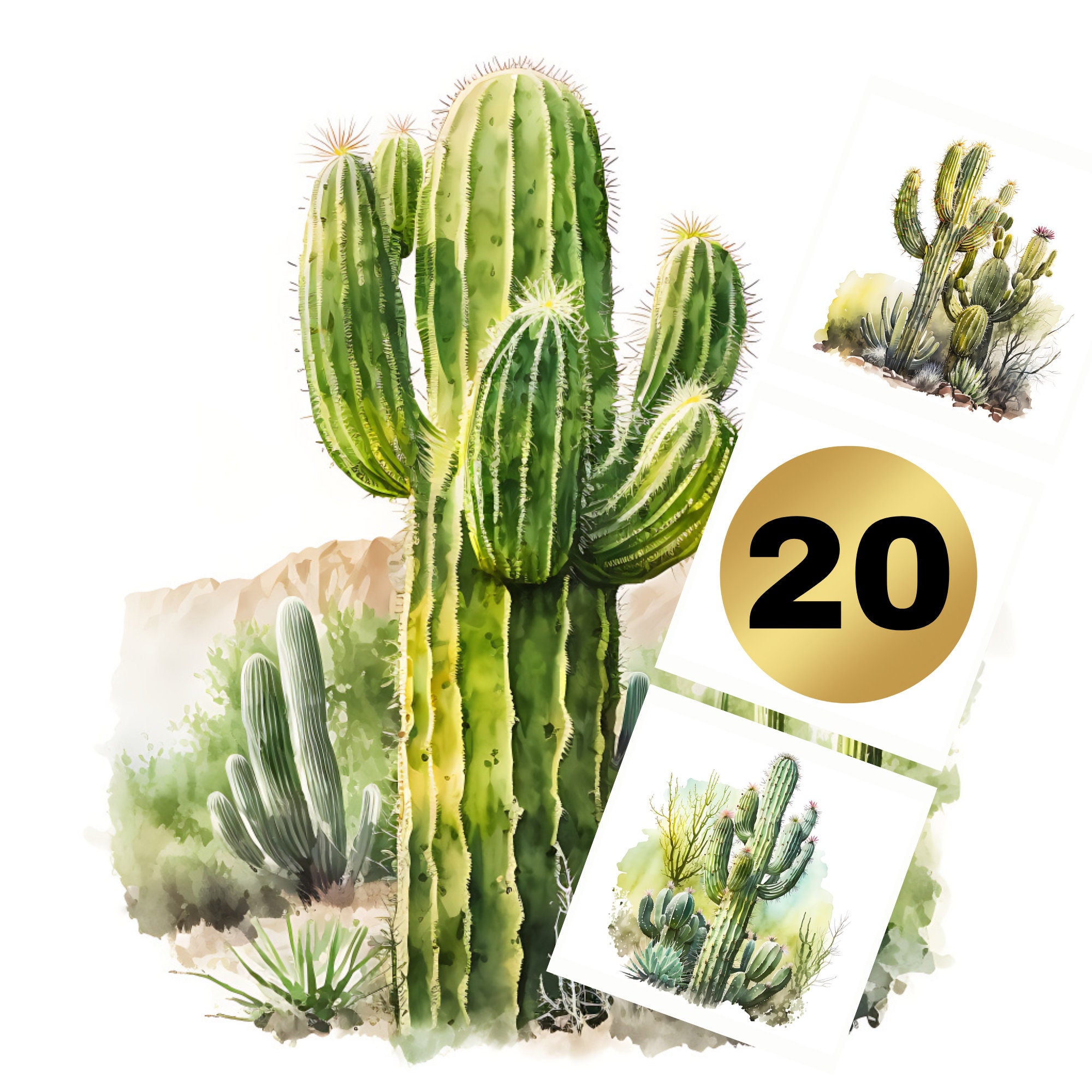 Saguaro Cactus Clip Art