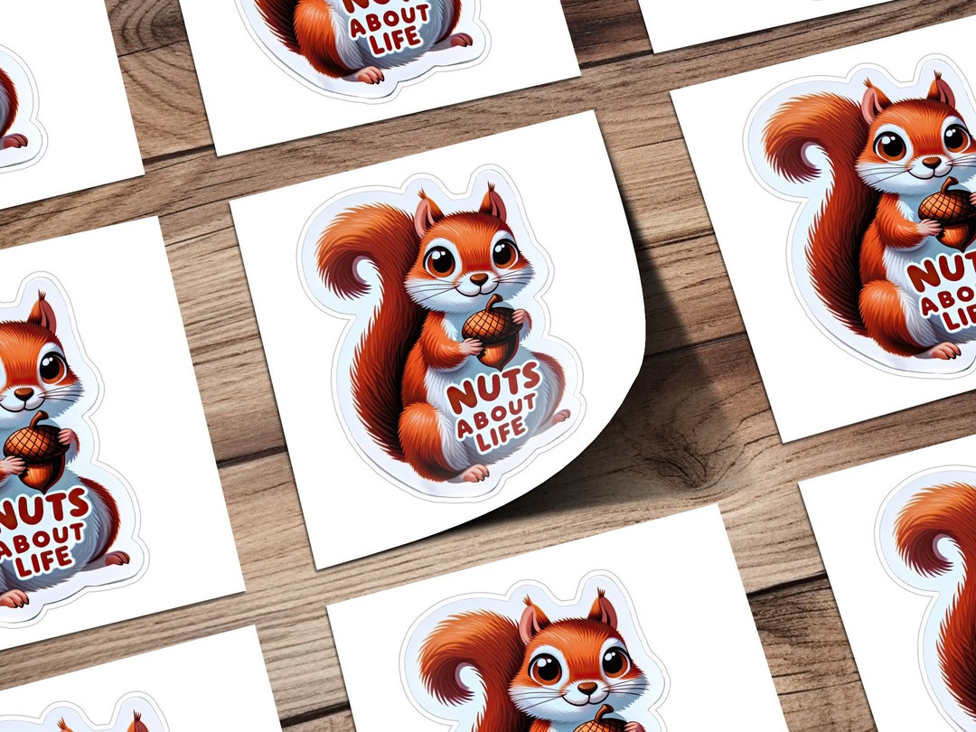Squirrel Sticker Nuts Life, Funny Squirrel Decal, Car Decal, Laptop ...