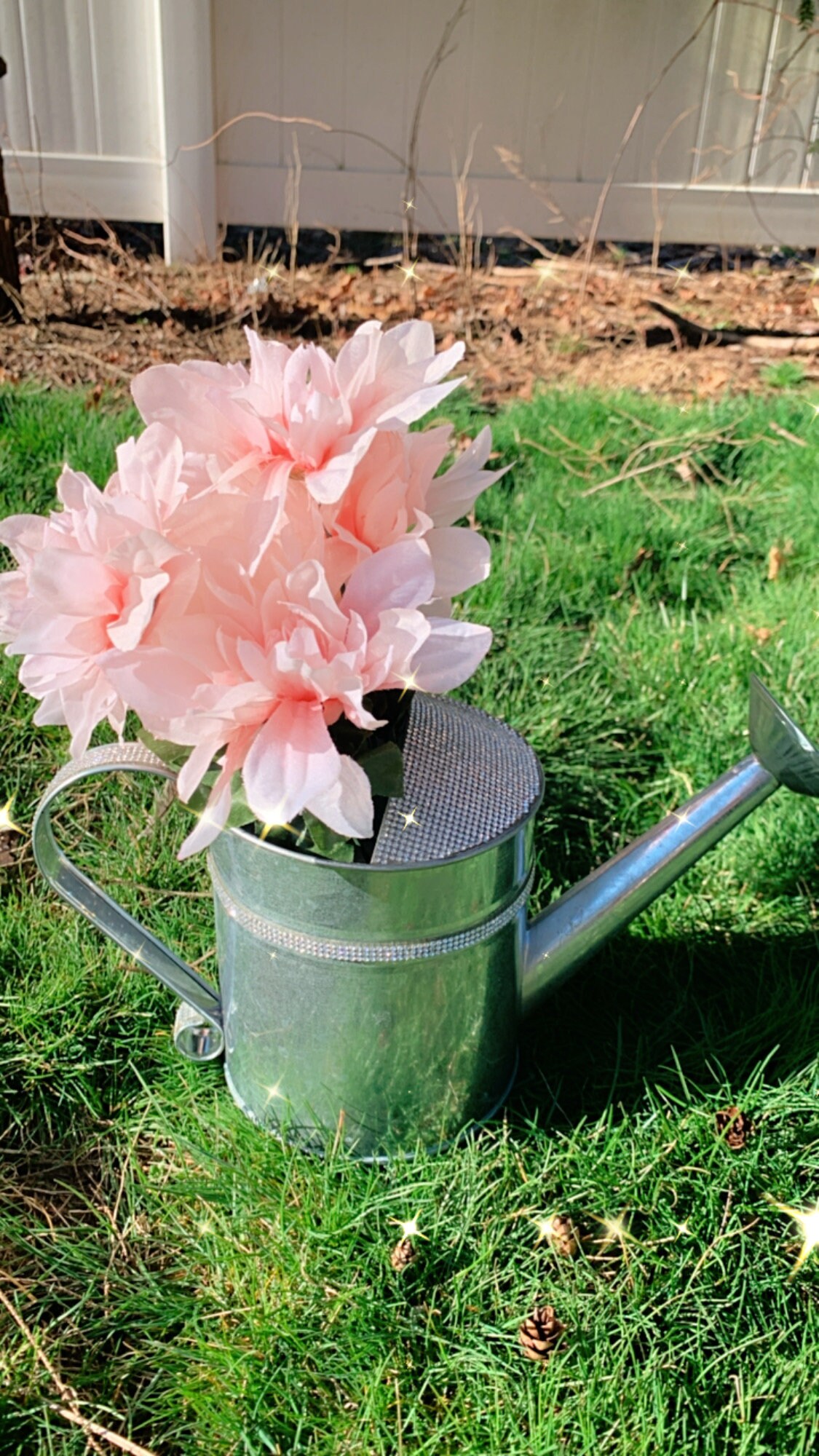 Metal Watering Can, Galvanized Steel Bling, Custom Garden, Bedazzled ...