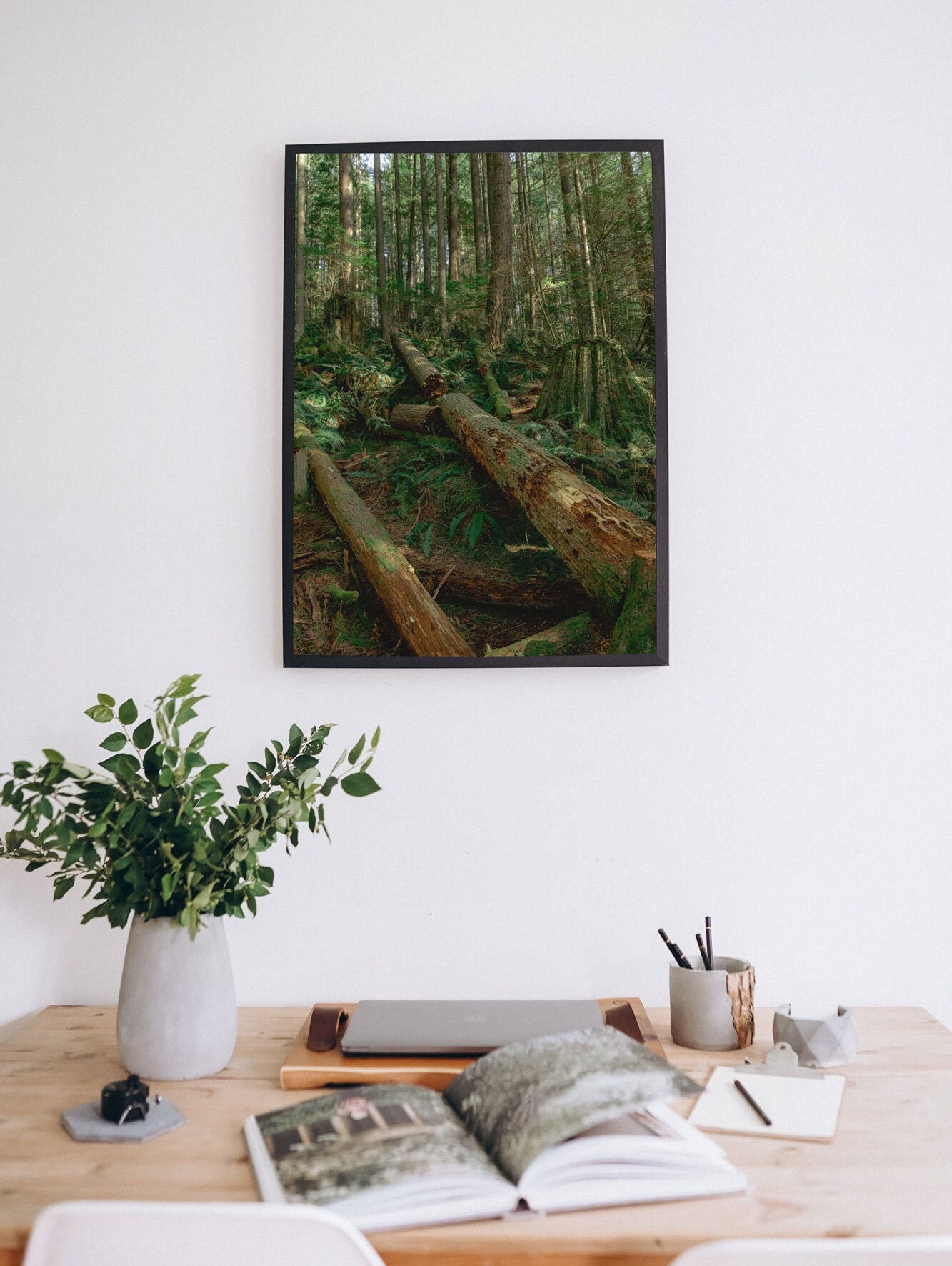 Fallen Trees | Forest | Trees | Landscape | Vancouver | Pacific ...