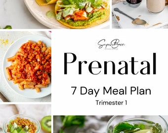 21 Day Prenatal Trimester 1 Meal Plan, Prenatal Nutrition, Balanced ...