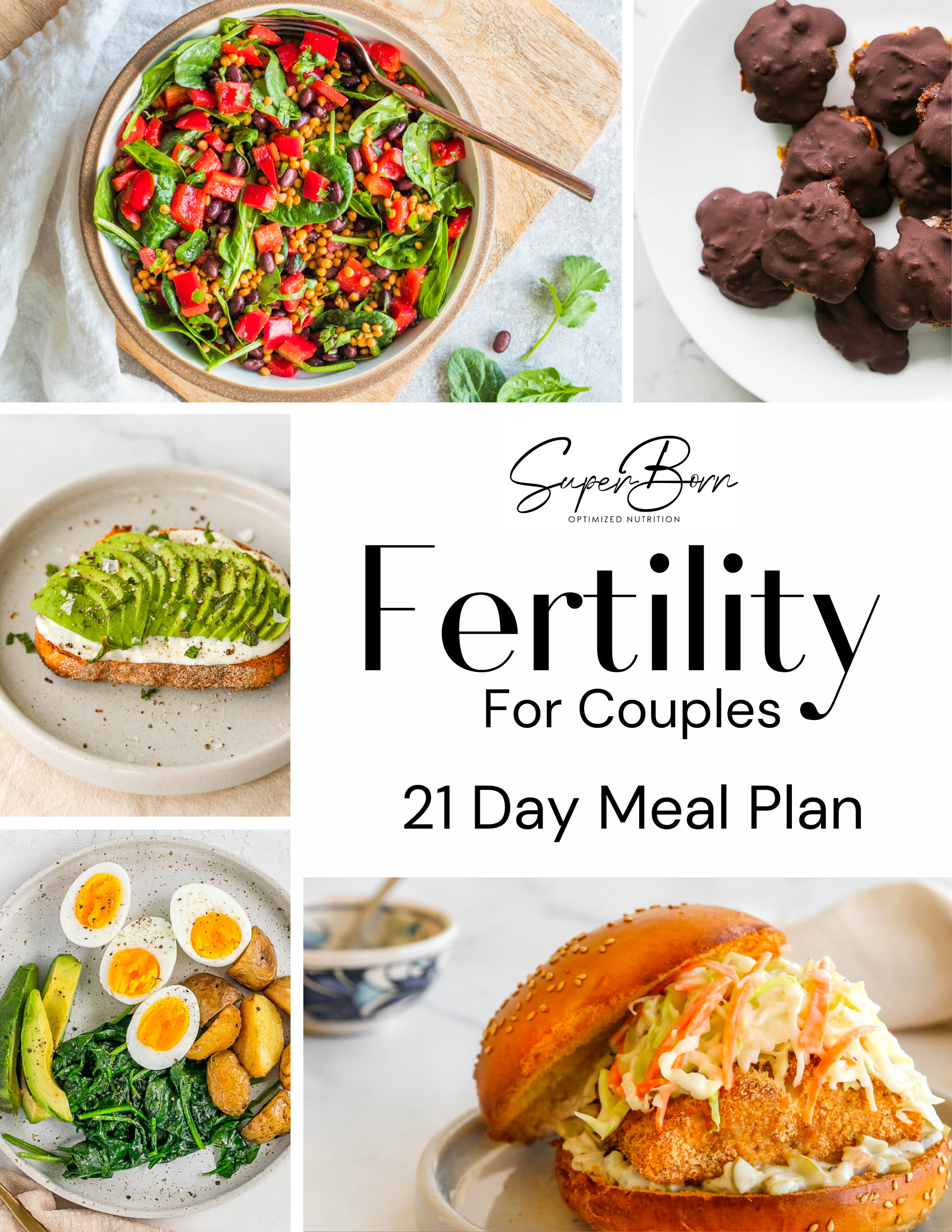21 Day Fertility Support for Couples Nutrition Plan, Balanced Meals ...