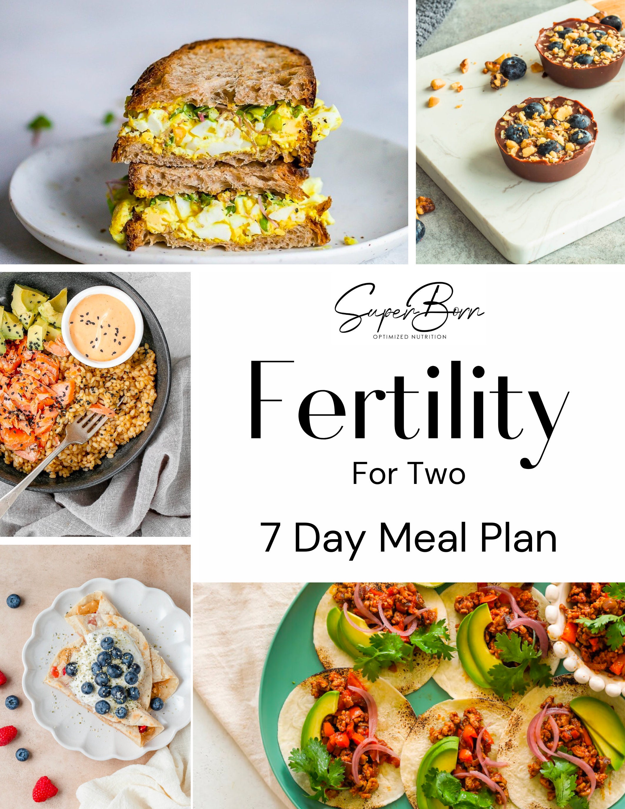7 Day Fertility Nutrition Support Meal Plan for Two, Balanced Meals ...