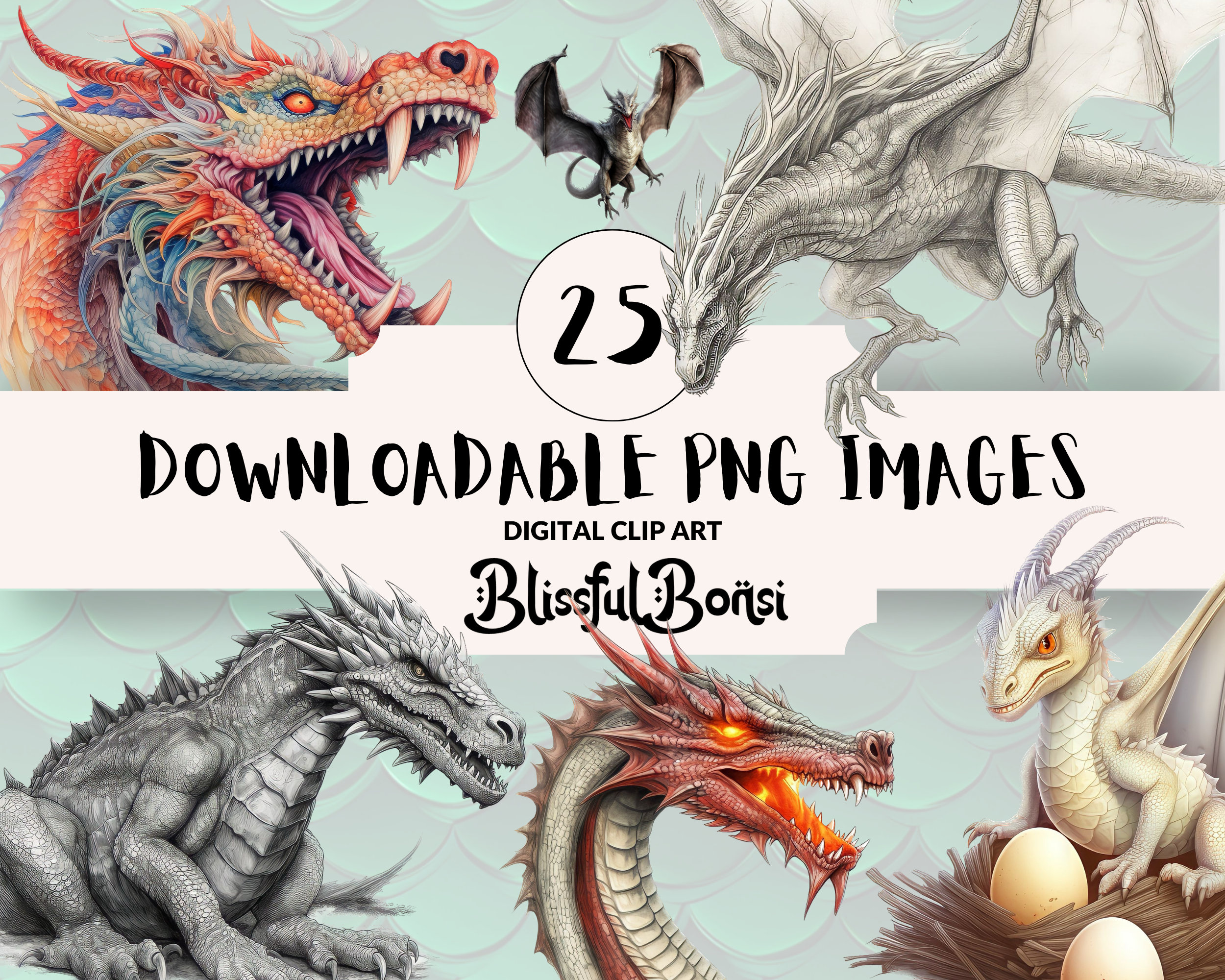 25 Unique Dragons Clip Art Dragon Clip Art of Dragons Digital Clip Art ...