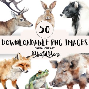 Watercolor Woodland Animals Clip Art Forest Animals Clip Art of Forest ...