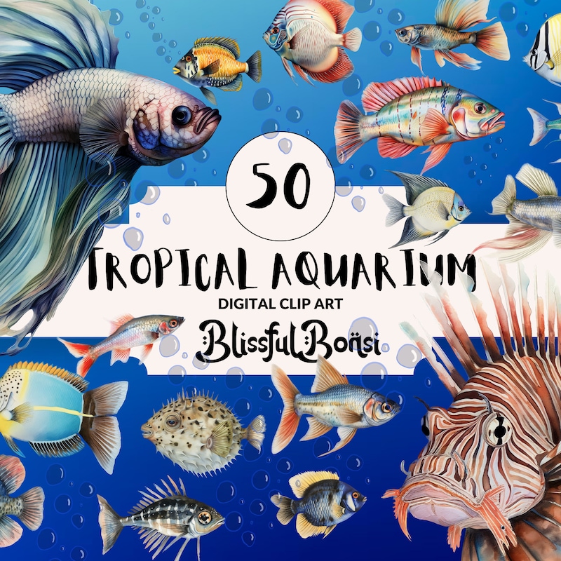 Tropical Fish Art - Etsy