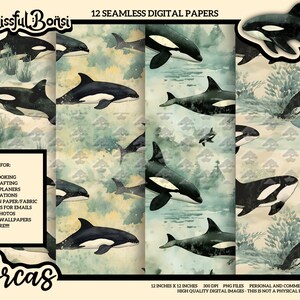 Orcas Digital Paper Killer Whale Digital Paper Orca - Etsy