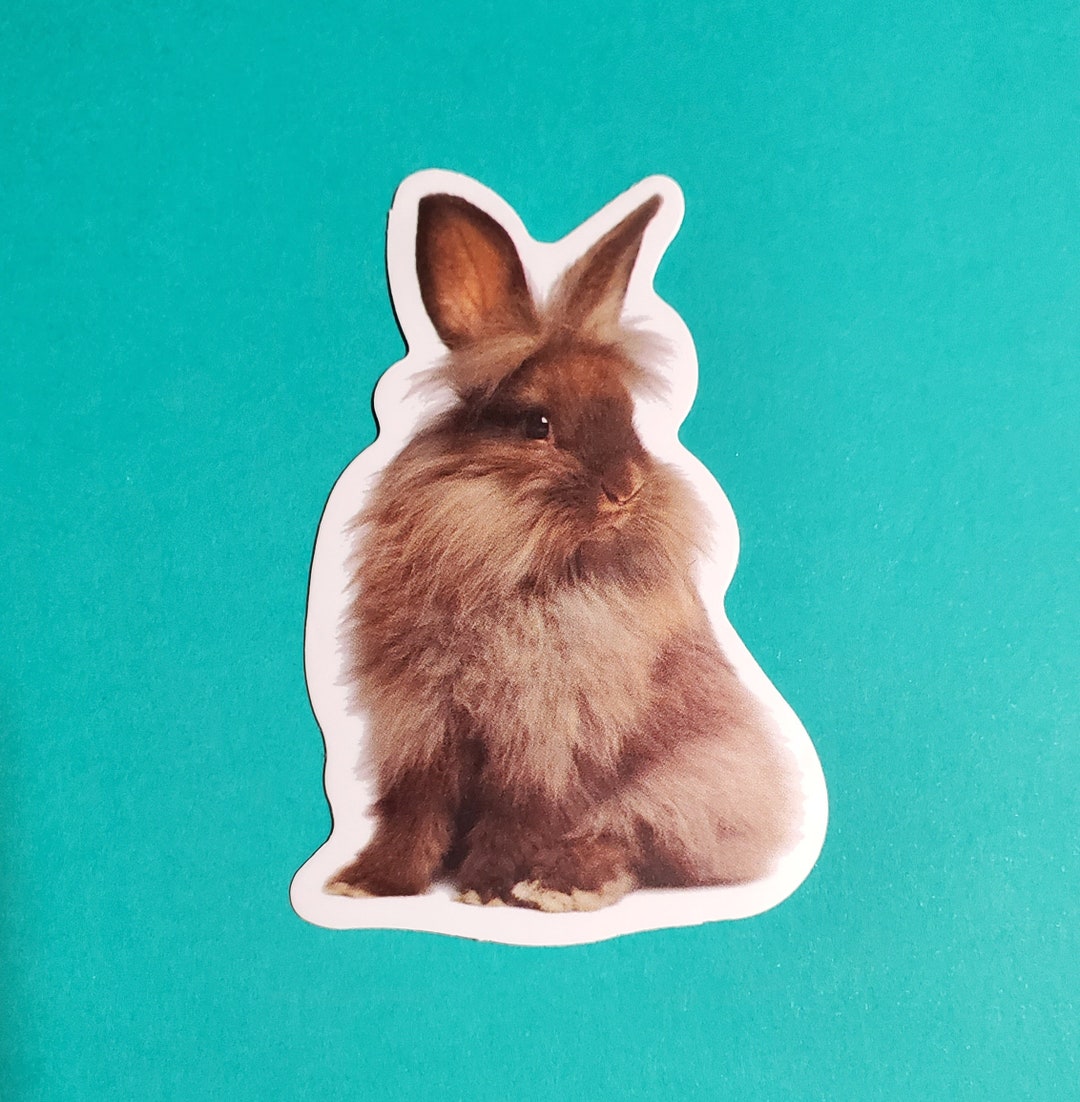 Lion Head Bunny Waterproof Vinyl Sticker - Etsy
