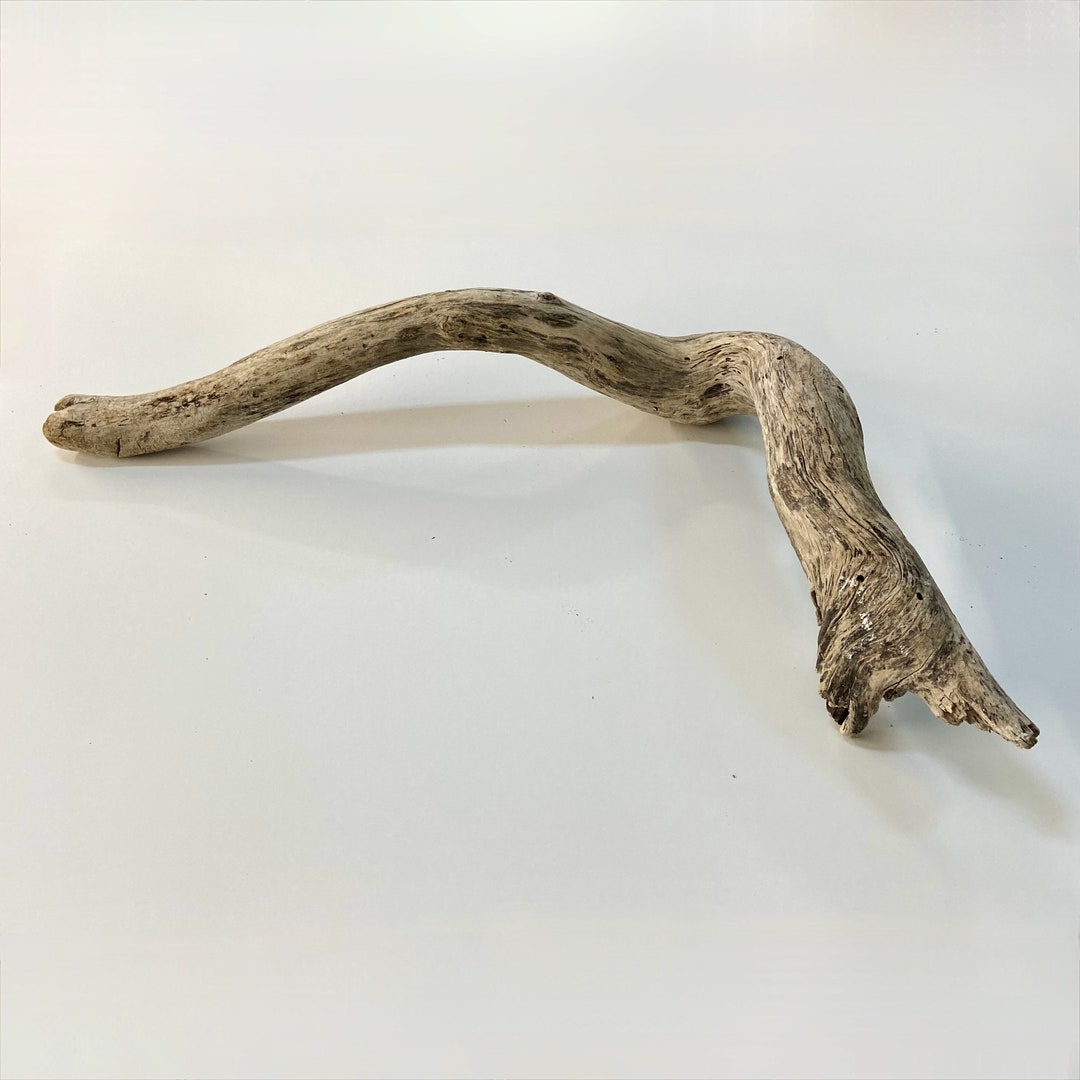 Long Driftwood Piece ("26/68cm), Decoration for Terrarium, Home ...