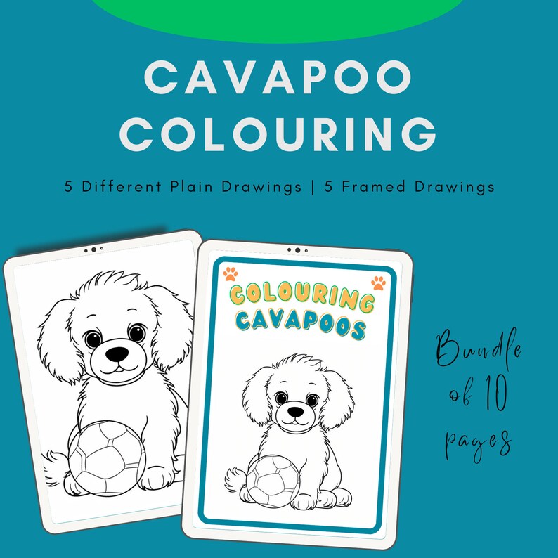 Cavapoo Cavoodle Coloring Book Printable Adult Kids Colouring - Etsy ...