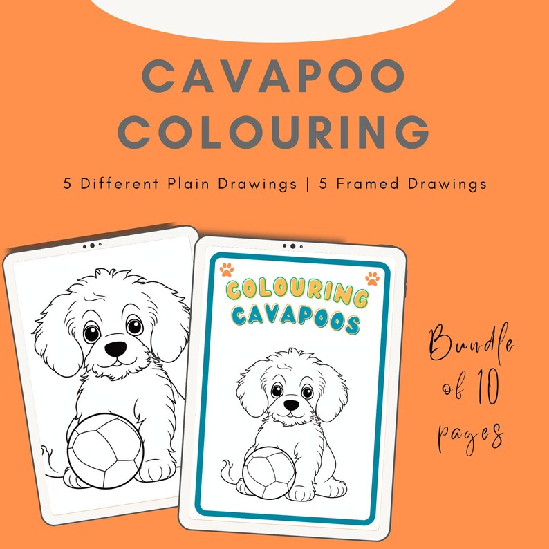 Cavapoo Cavoodle Coloring Book Printable Adult Kids Colouring - Etsy ...