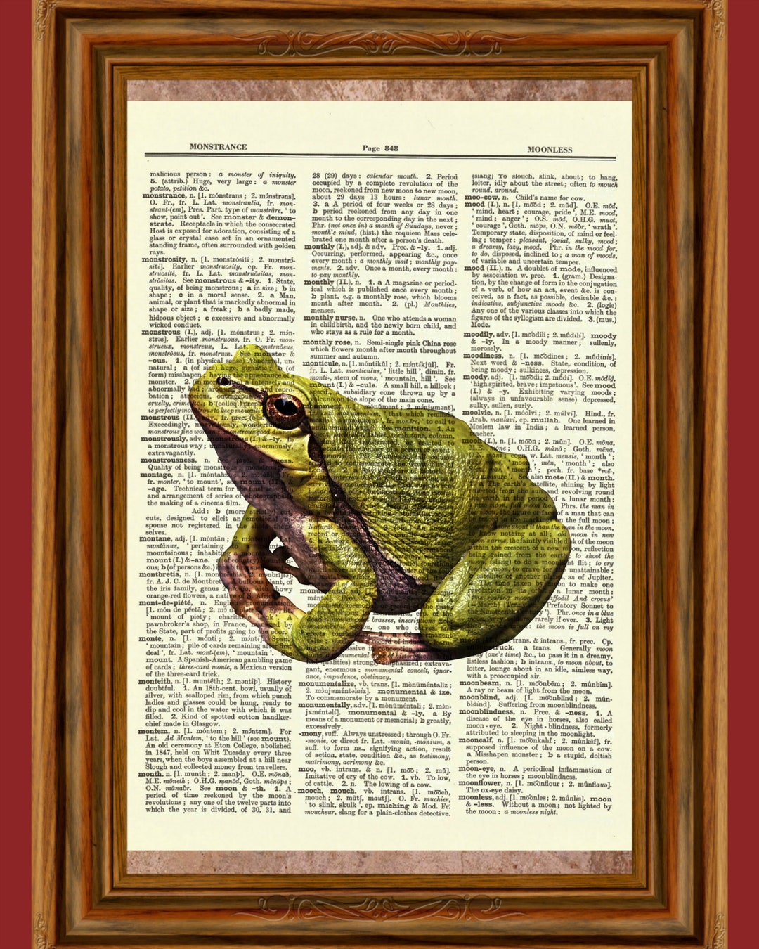 Frog, Vintage Dictionary Art Print, Picture, Upcycled Antique Gift ...