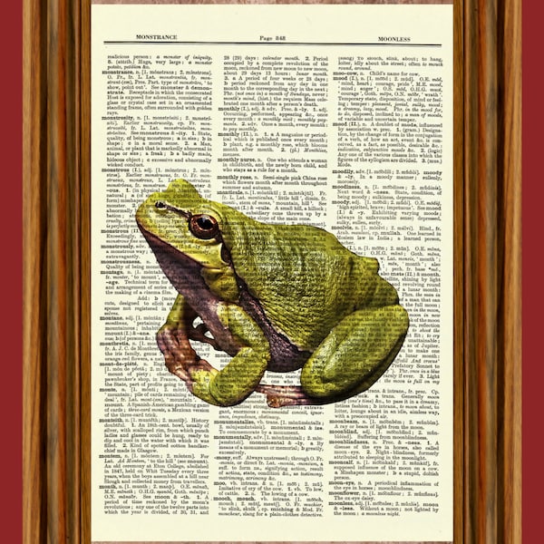 Antique Frog Print - Etsy