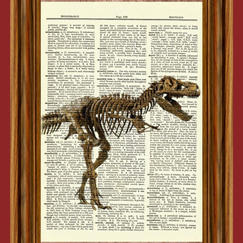 Dictionary Font - Etsy