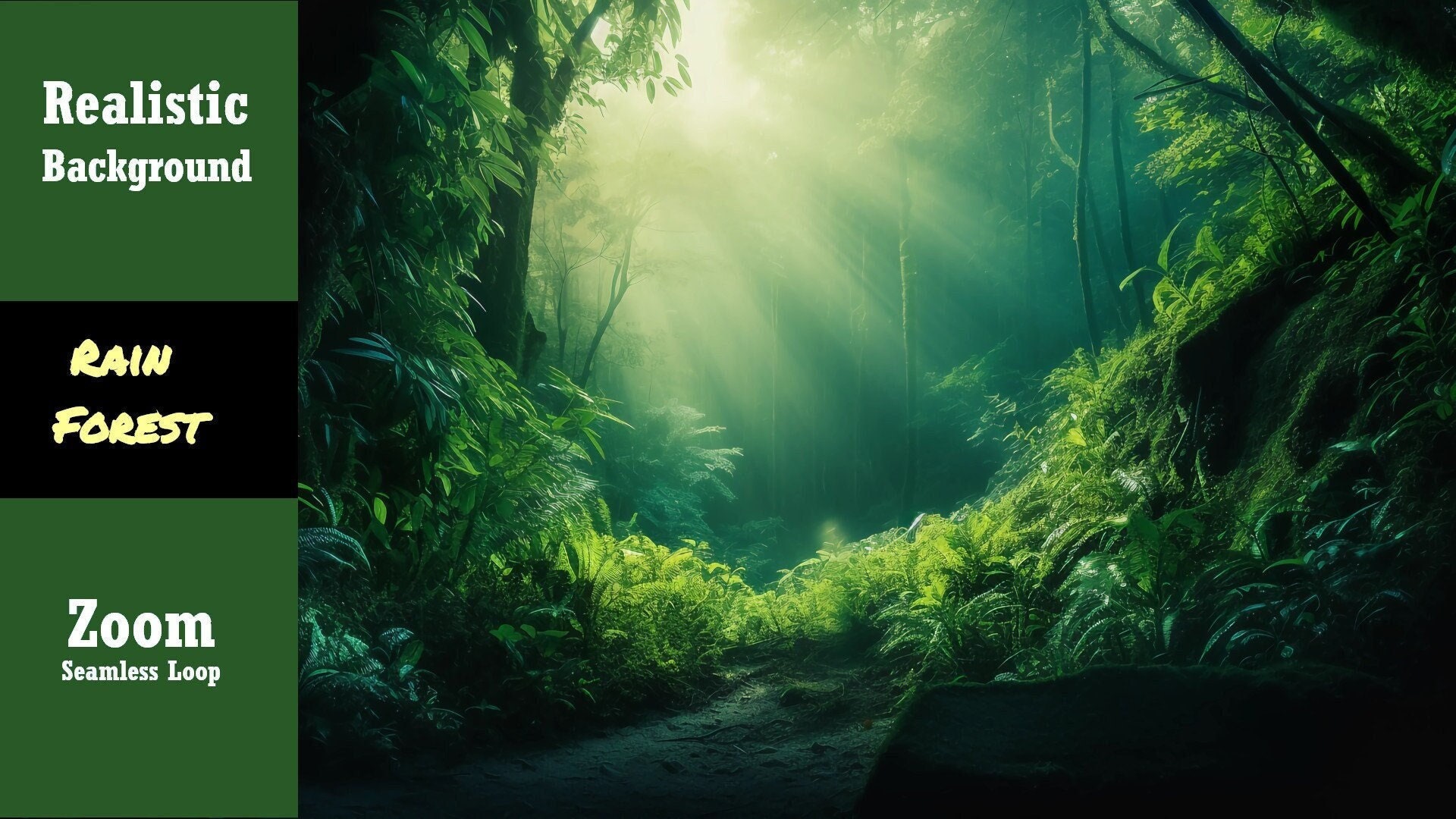 Zoom Virtual Backgrounds Rain Forest Rainforest Backdrop - Etsy Australia