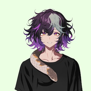 Premade Vtuber Model: Snake Punk Boy, Rigged Live2d Male Vtuber, OBS ...