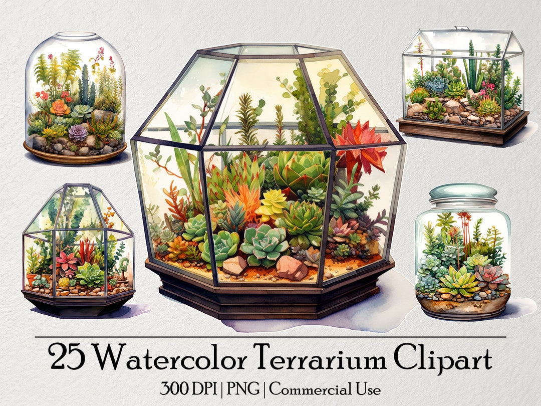 25 Terrarium Clipart Bundle Watercolor House Plant PNG - Etsy