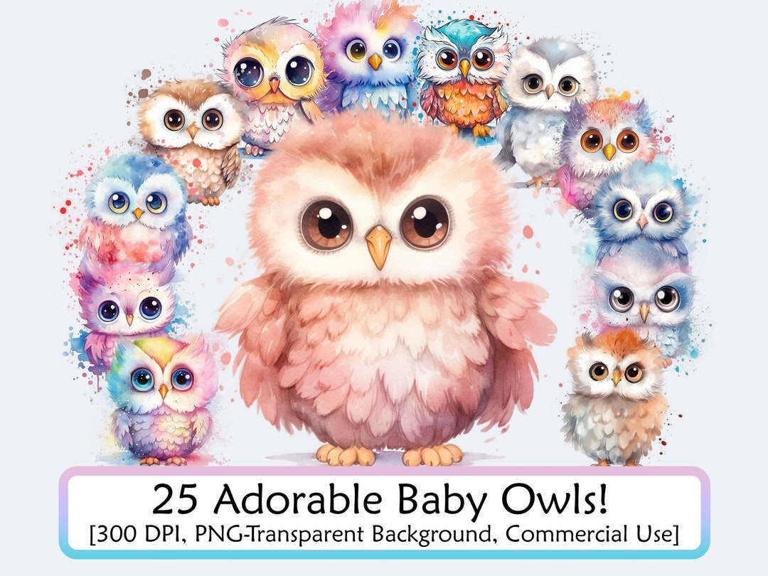 25 Watercolor Baby Owl Clipart, Commercial Use, Owl Clipart Bundles ...