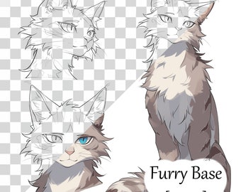 Furry Base Reference Sheet: Instant Download, OC Reference Sheet ...