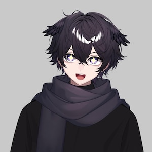 Premade Vtuber: Raven Rogue Boy, Live2d Rigged Male Vtuber Model ...
