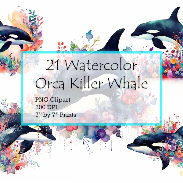 Orca Watercolor Wall Art - Etsy