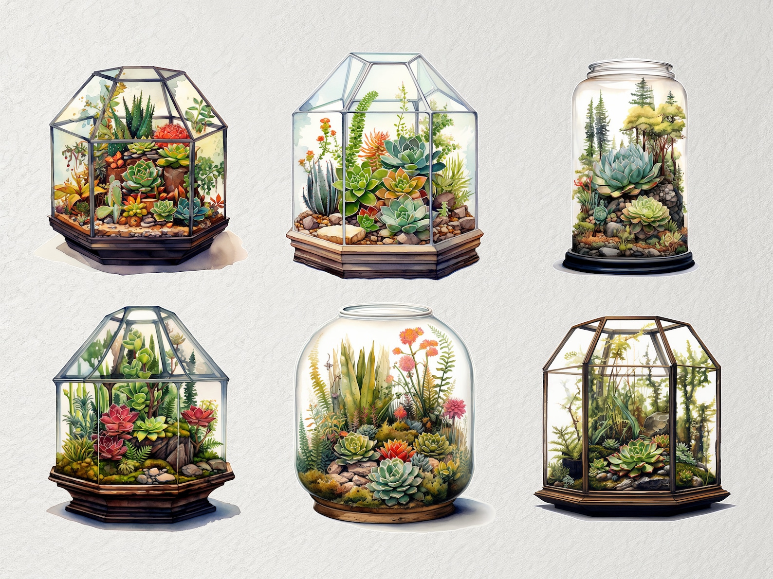 25 Terrarium Clipart Bundle Watercolor House Plant PNG - Etsy
