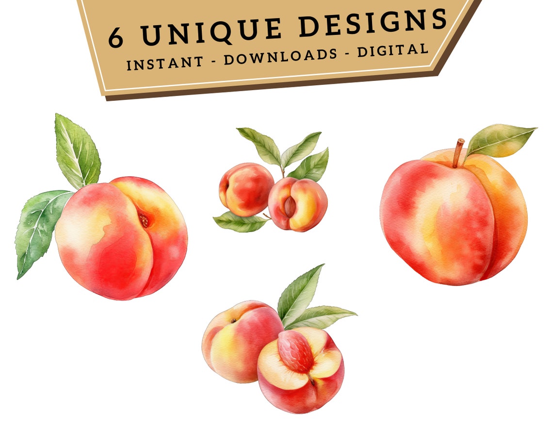 Watercolor Peach Clipart Juicy Fruit Png Sweet And Succulent Peach