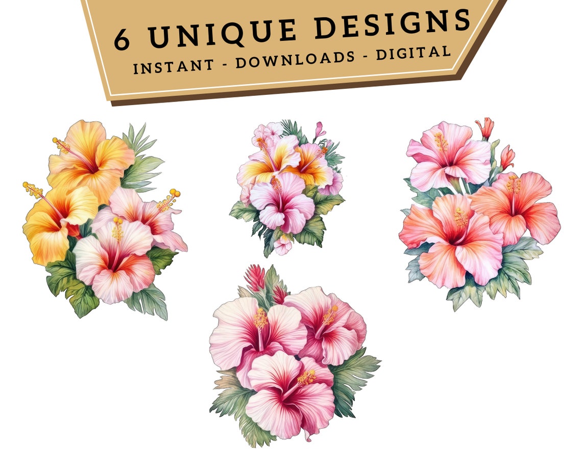 Watercolor Hibiscus Clipart Tropical Floral Illustrations Hibiscus ...