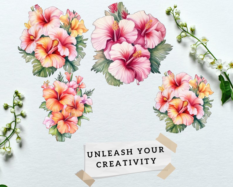Watercolor Hibiscus Clipart Tropical Floral Illustrations Hibiscus ...
