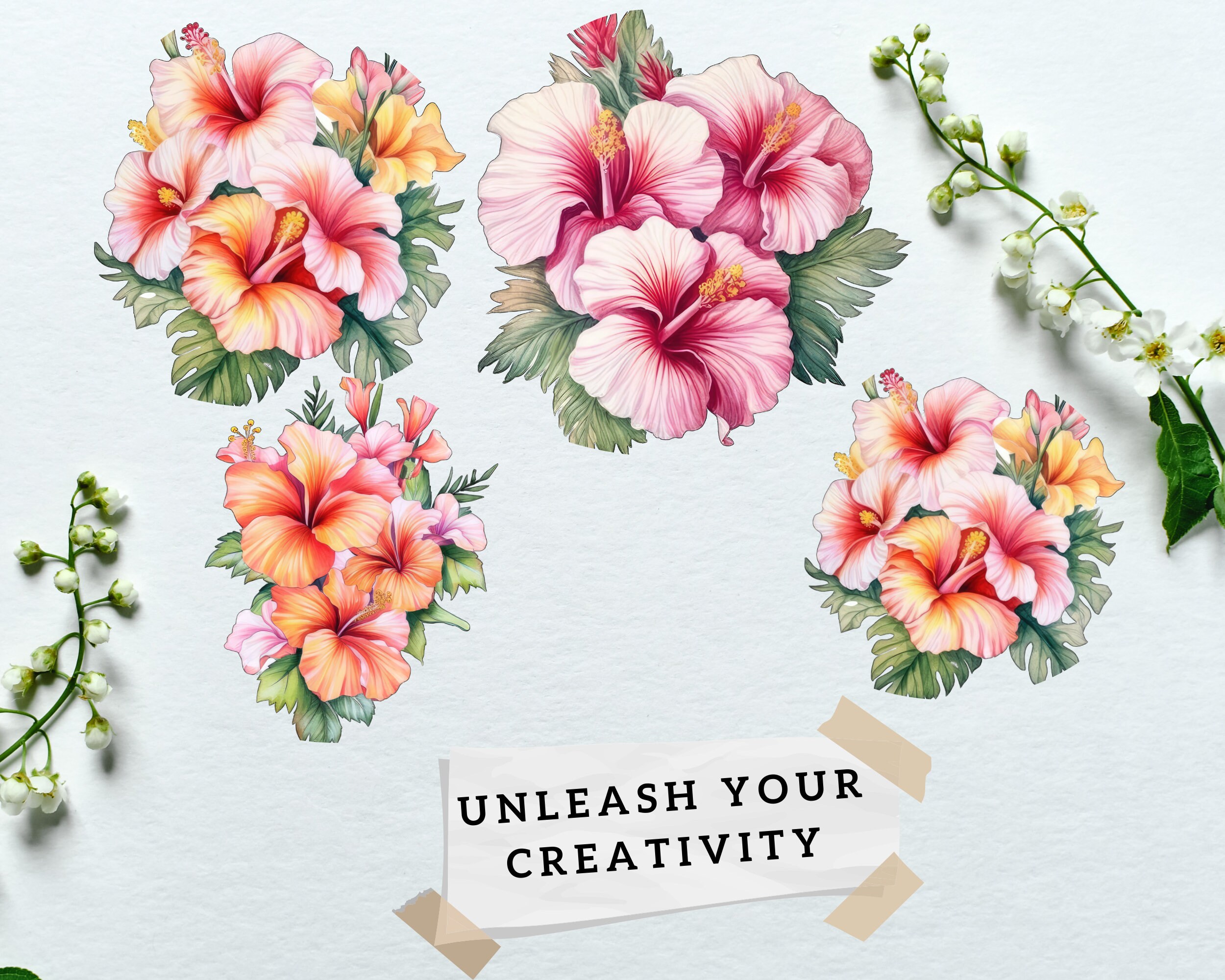 Watercolor Hibiscus Clipart Tropical Floral Illustrations Hibiscus ...
