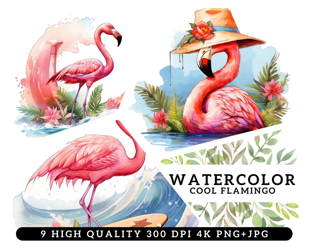Watercolor Cool Flamingo Clip Art Cool Flamingo Art Illustrations Cool ...