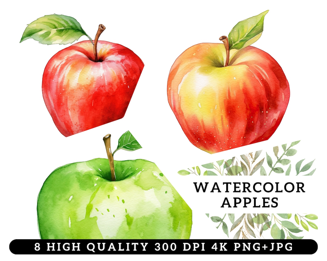 Watercolor Apples Clipart Fall Fruit PNG Autumn Harvest Clipart Food ...
