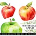 Watercolor Apples Clipart Fall Fruit PNG Autumn Harvest Clipart Food ...