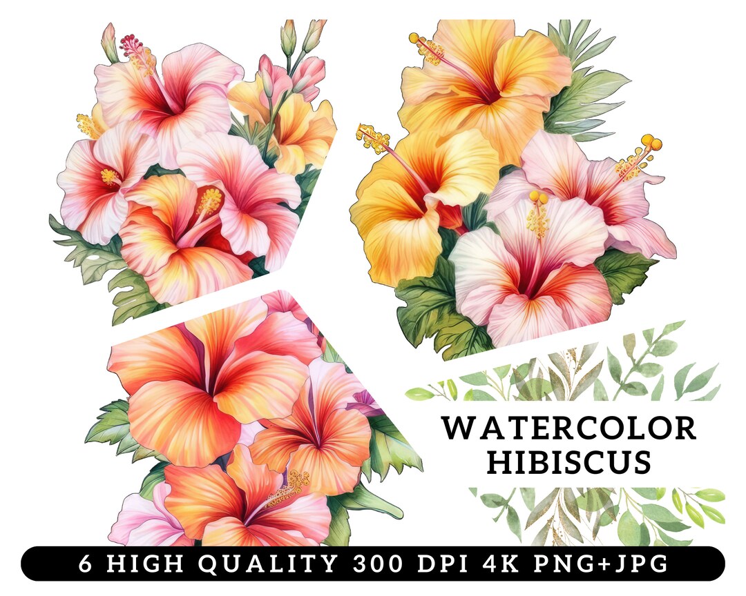 Watercolor Hibiscus Clipart Tropical Floral Illustrations Hibiscus ...