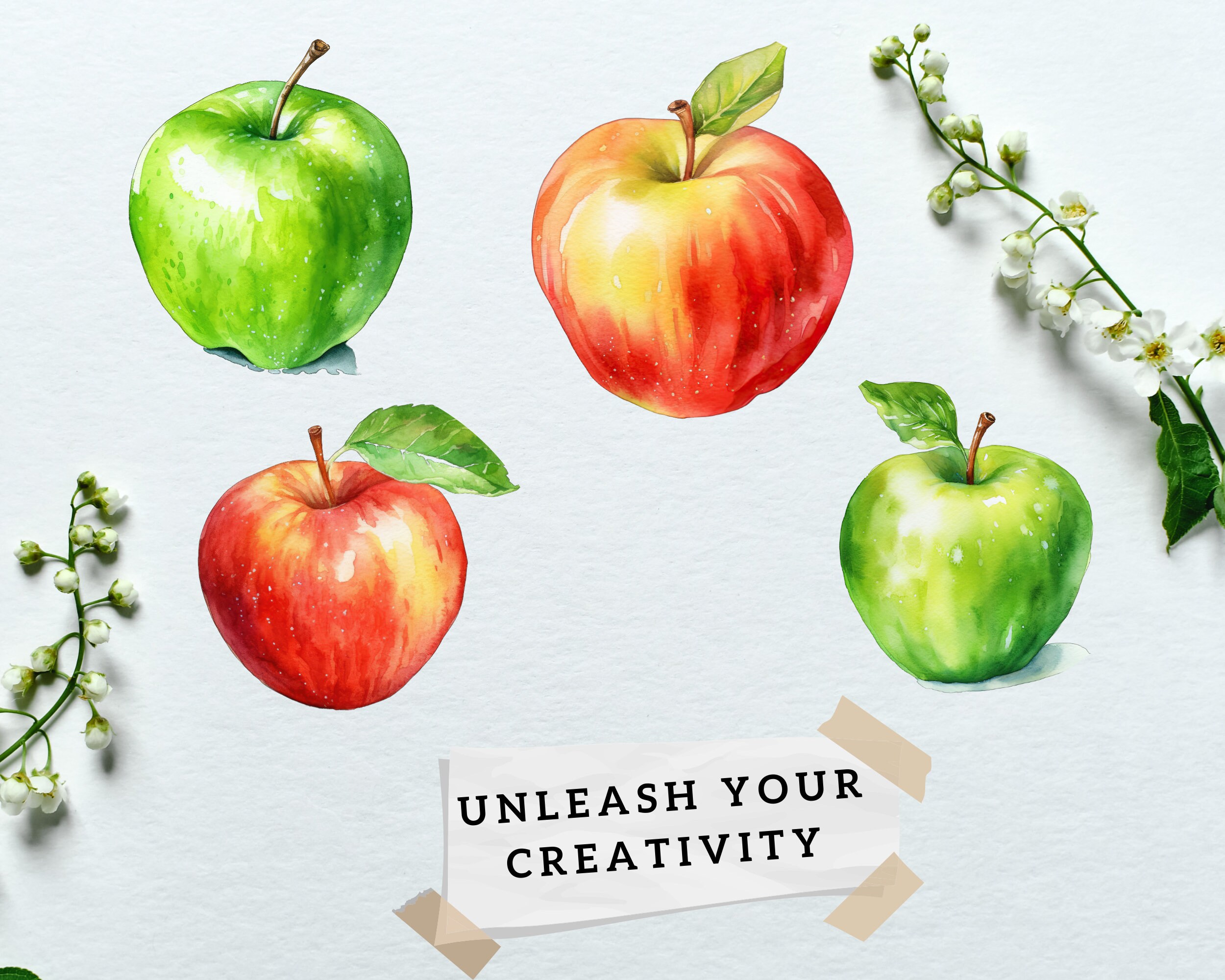 Watercolor Apples Clipart Fall Fruit PNG Autumn Harvest Clipart Food ...