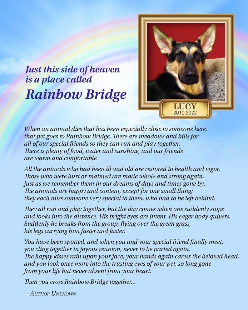 Rainbow Bridge Pet Memorial - Etsy