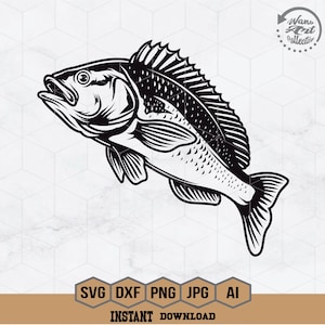 Red Snapper Fish Svg | Red Snapper Svg | Snapper Fish Svg | Fish ...