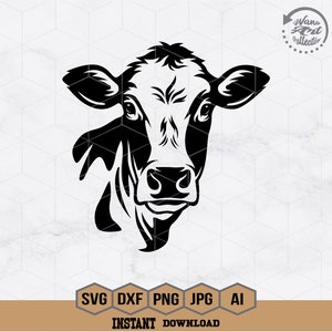 Highland Cow Svg & Png, Cute Cow Clipart, Baby Highland Cow Vector ...