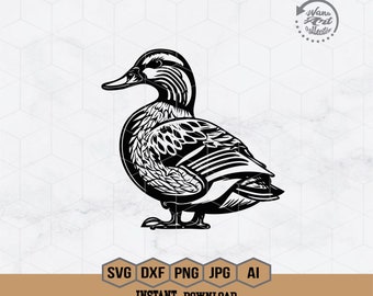 Big Duck Energy Duck Svg Files Duck Svg, Rubber Duck Cricut Svg, Svg ...