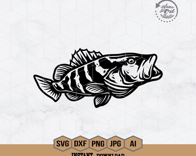 6 Grouper Fish Clipart, Grouper Fish Clipart PNG, Fishing, Digital ...